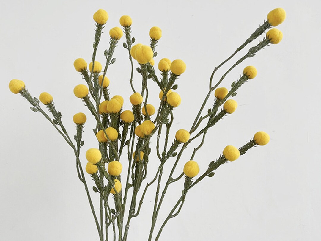 Quality Craspedia Global Stem, Artificial Drumstick Flower, Fake Billy ...