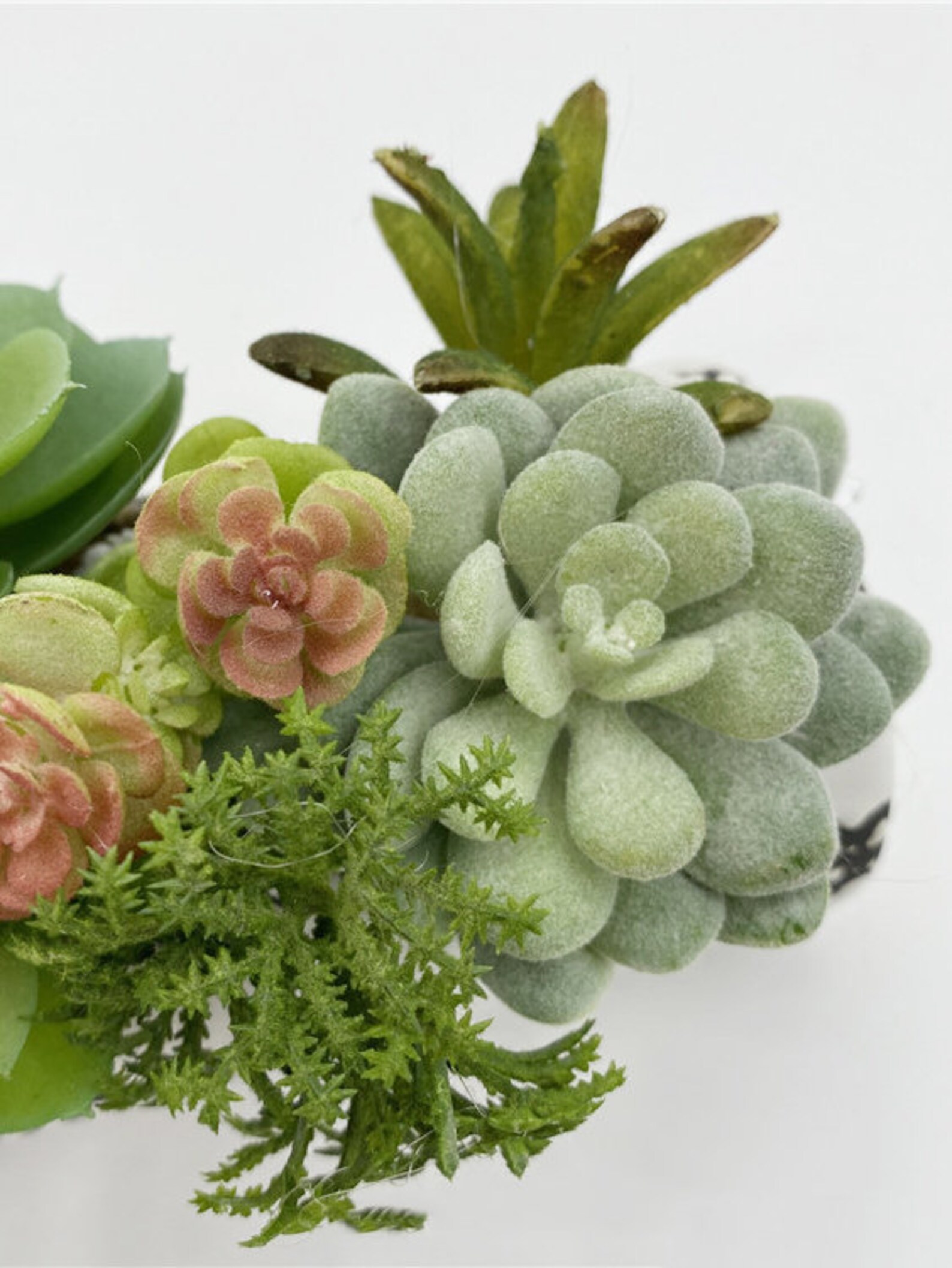 Fake Succulents Crafts, Tropical Plant Bottle Ornament, Artificial ...