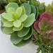 Fake Succulents Crafts, Tropical Plant Bottle Ornament, Artificial ...