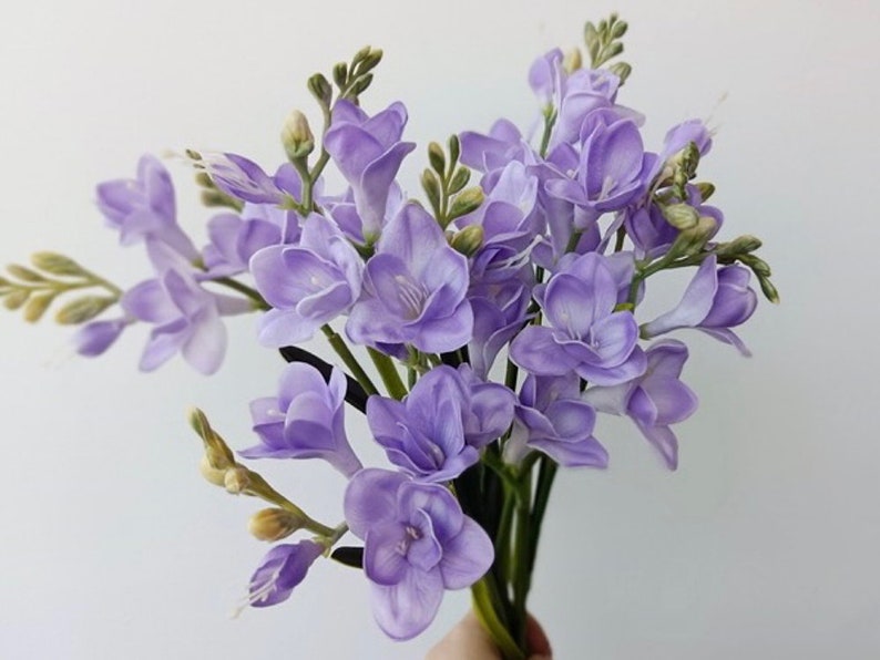Artificial Freesia With Bud Quality Orchid Flower Stem - Etsy