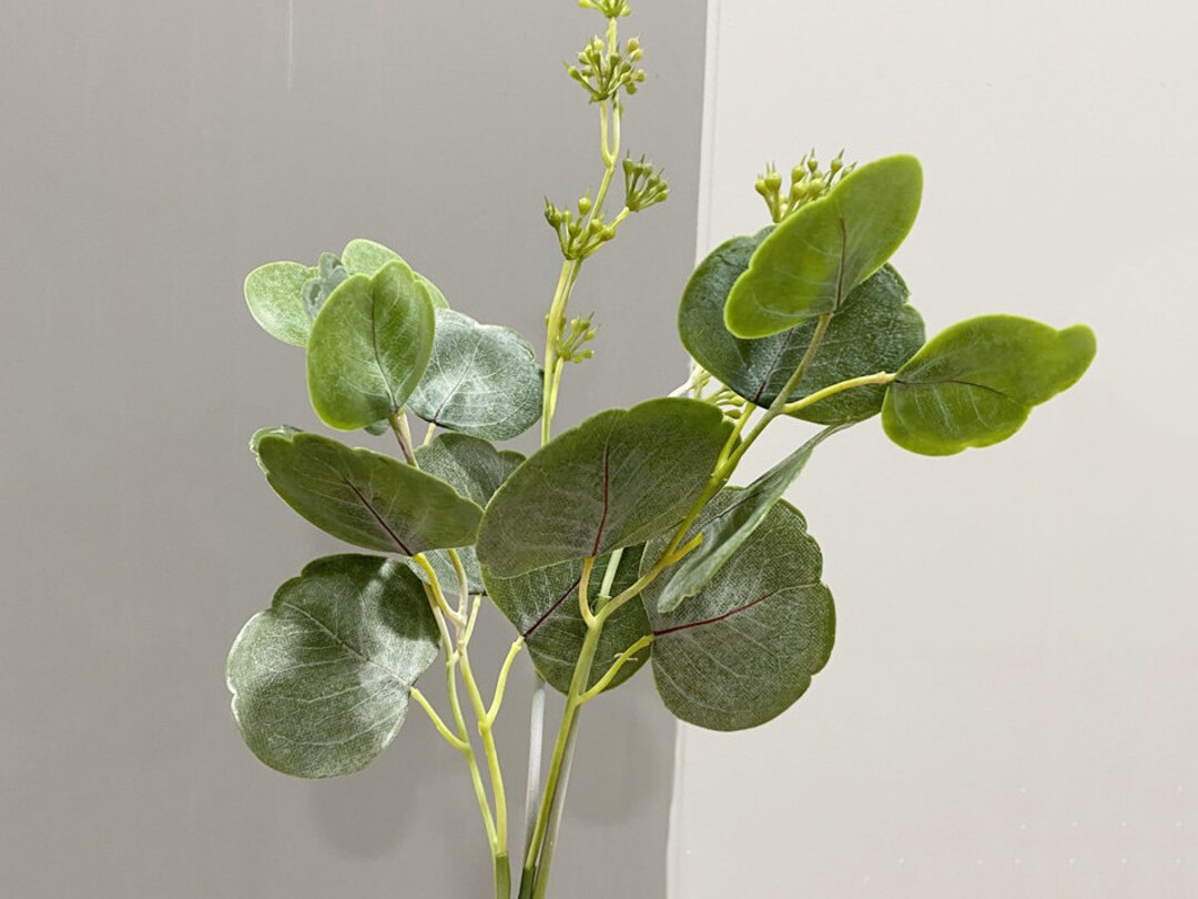 Eucalyptus Leaf Bundle With Seeds, Fake Foliage With Buds, Artificial ...