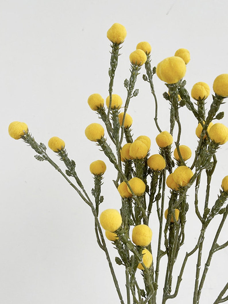 Quality Craspedia Global Stem, Artificial Drumstick Flower, Fake Billy ...