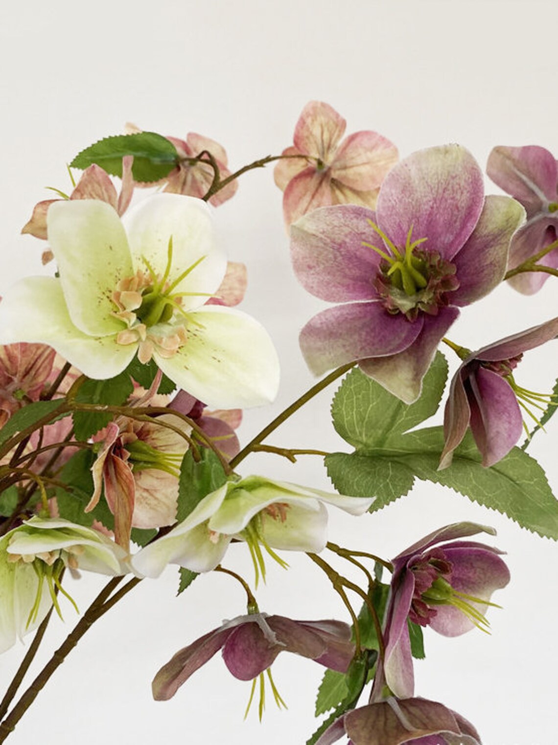 Artificial Helleborus Flower Stem, Fake Silk Flower, Realistic ...