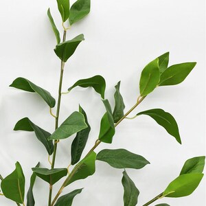 Ligustrum Lucidum Leaves, Artificial Privet Leaves, Faux Ligustrum ...
