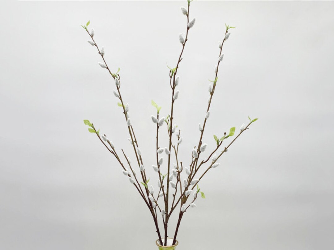 Faux Pussy Willow Stem With Tender Leaves, Fake Salix Argyracea Branch ...