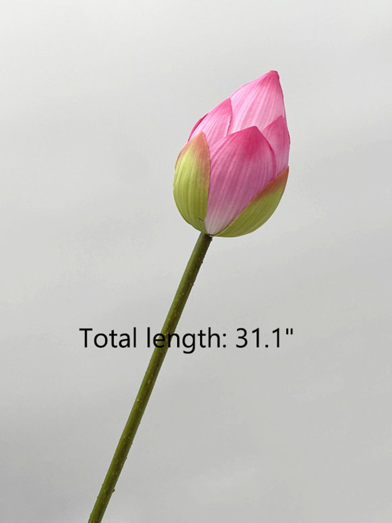 Fake Lotus Flower Stem, Water Lily Buds, Summer Flower Spray, Home ...