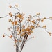 Artificial Bittersweet Fruit With Long Branch, Quality Small Berry Stem ...