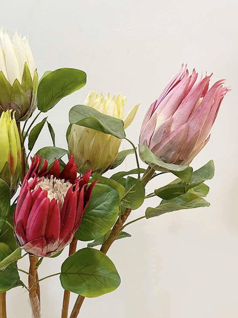 Artificial Protea Stem With Leaf, Quality Big Flower Head, Home ...