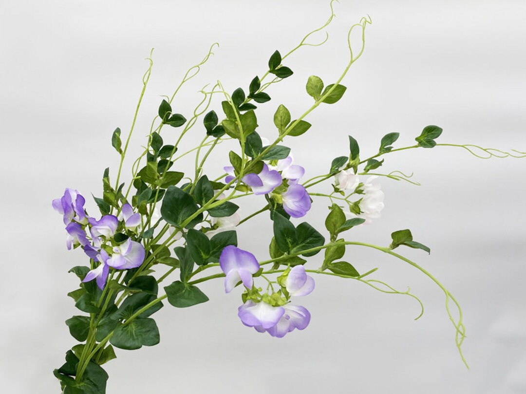 Fake Pea Flower Long Stem With Leaves, Rustic Wildflower, Home Floral ...