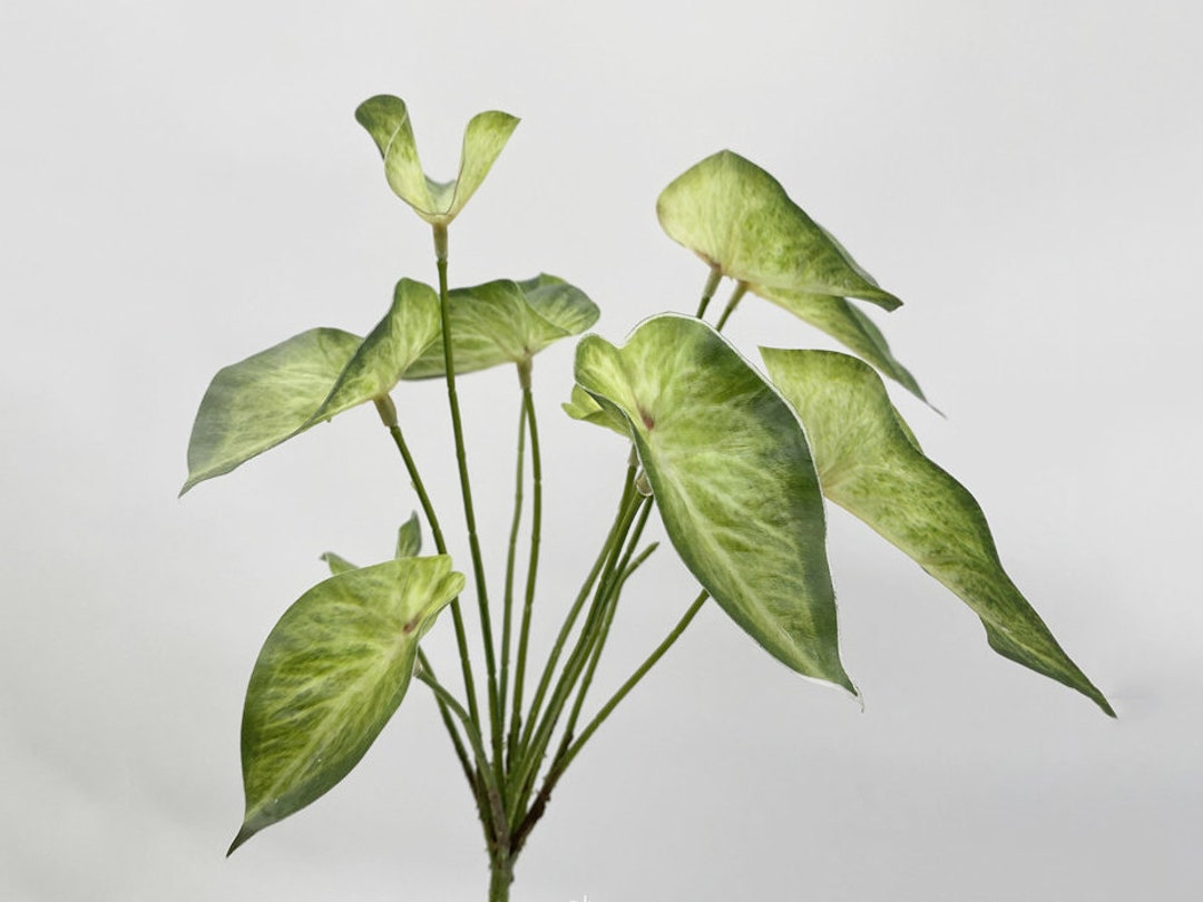 Syngonium Podophyllum Plant, Fake Tropical Greenery Craft, Artificial ...