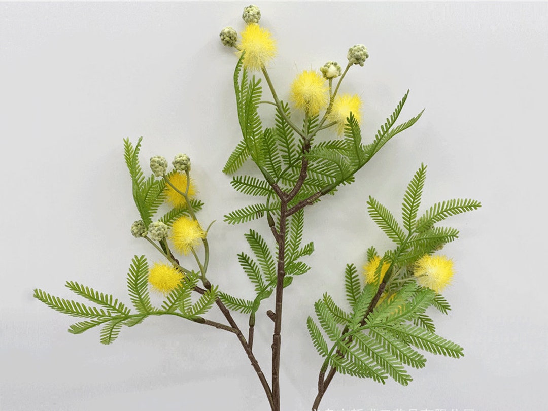 Fake Acacia Flower Branch With Leaves, Spring Mimosa Spray, Rustic ...