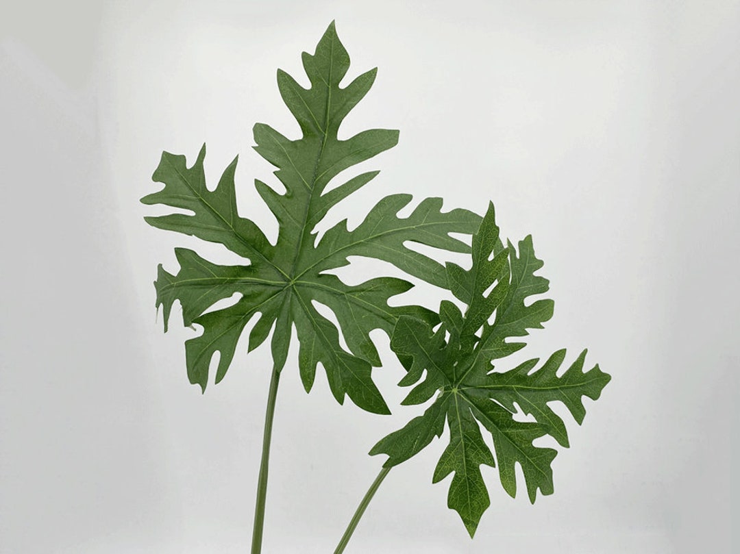 Papaya Leaf Stem Artificial, Fake Lacy Tree Philodendron Foliage, Home ...