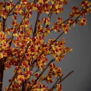 Quality Bittersweet Stem With Fruit, Artificial Small Berry Branch ...