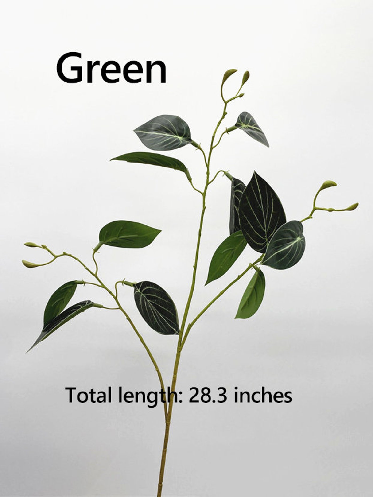 Artificial Ficus Elastica Leaf Stem, Fake Rubber Plant, Variegated ...