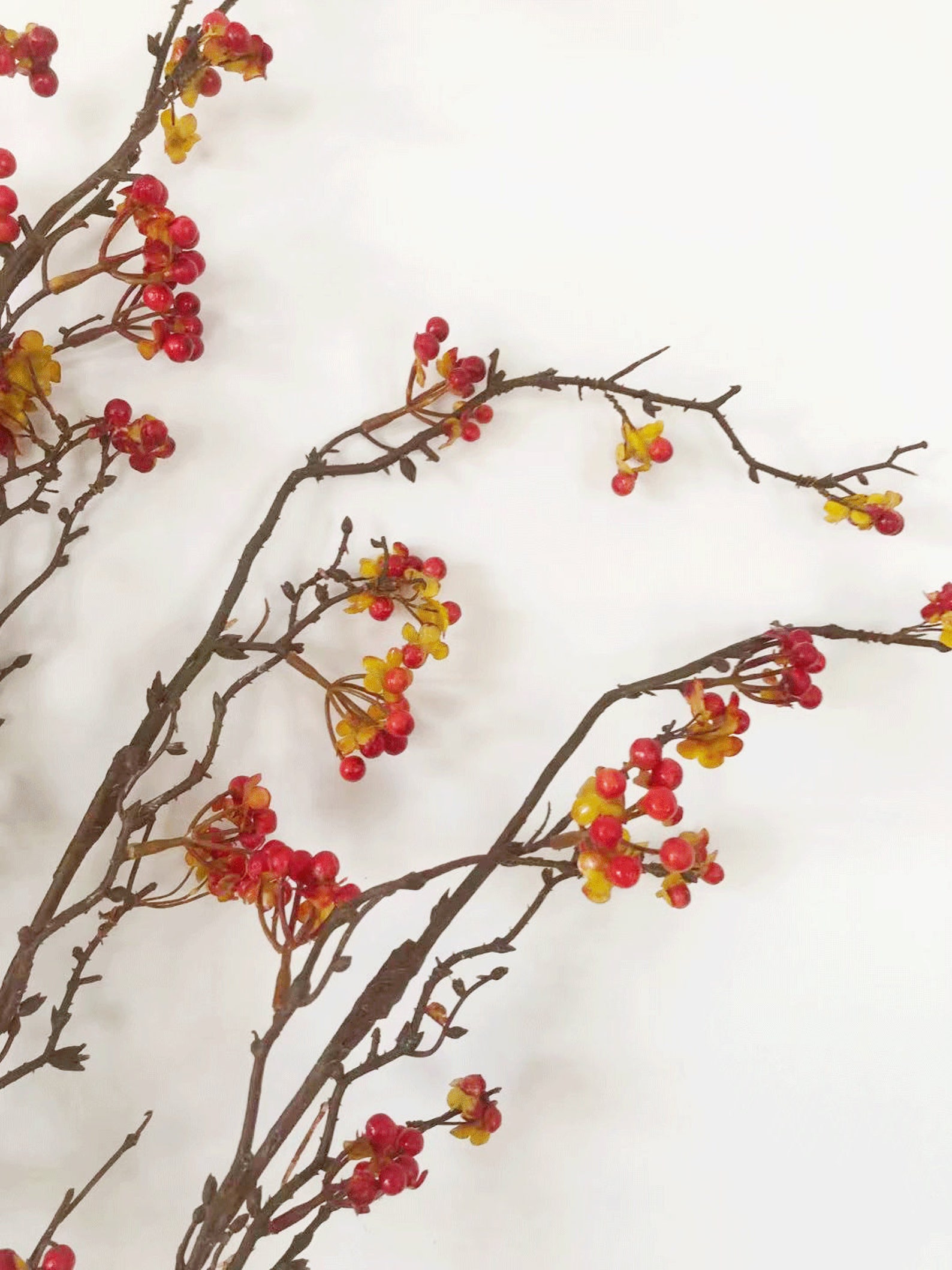 Artificial Bittersweet Fruit With Long Branch, Quality Small Berry Stem ...