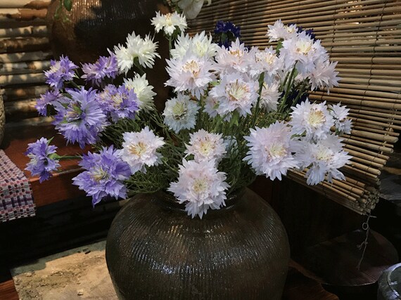 Cornflower Stem With Foliage Artificial Quality Magic | Etsy