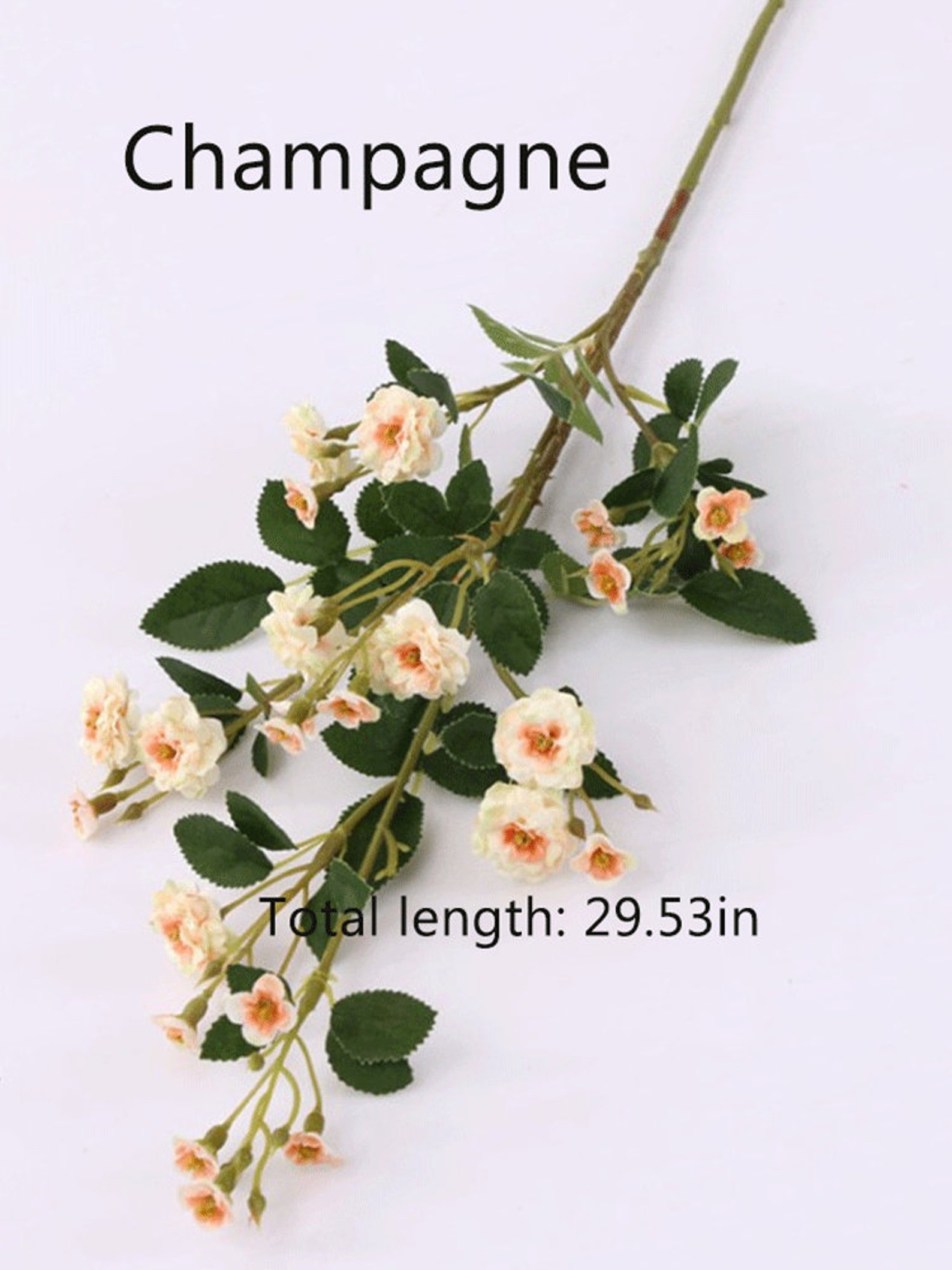 Small Rose Flower Stem With Buds and Leaves, Rustic Wildflower Spray ...