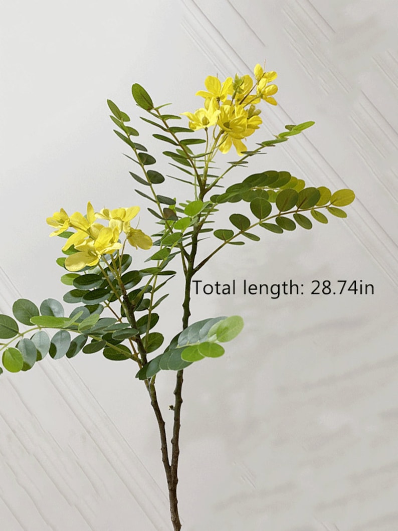 Artificial Cassia Glauca Flower With Leaves, Chinese Acacia Stems, Fake ...