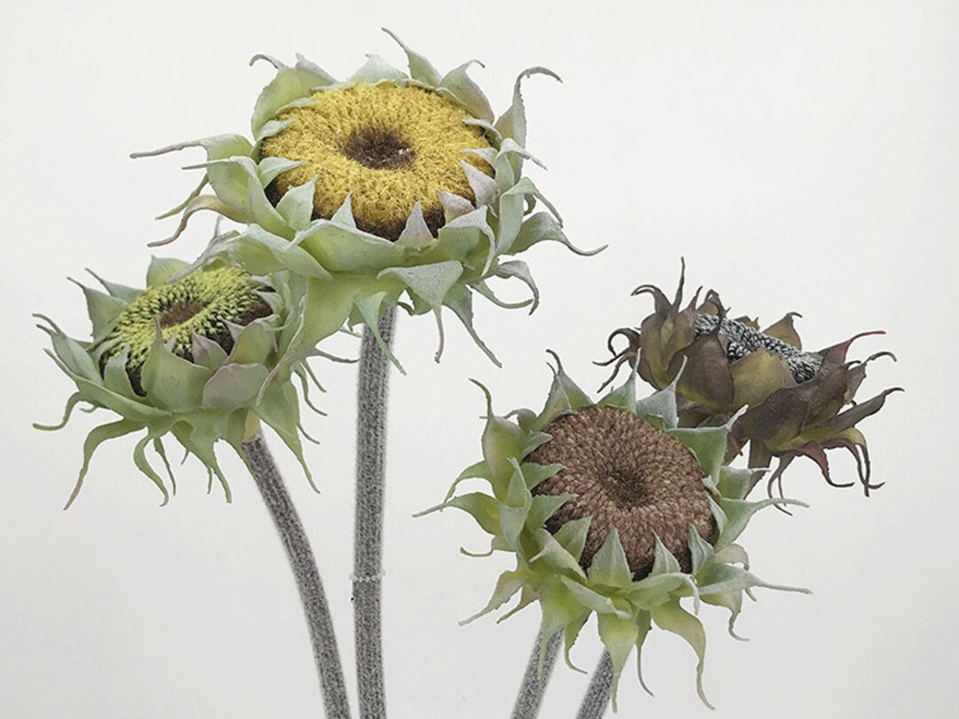 Vintage Sunflower Tray With Stem, Artificial Sunflower Seed, Individual ...
