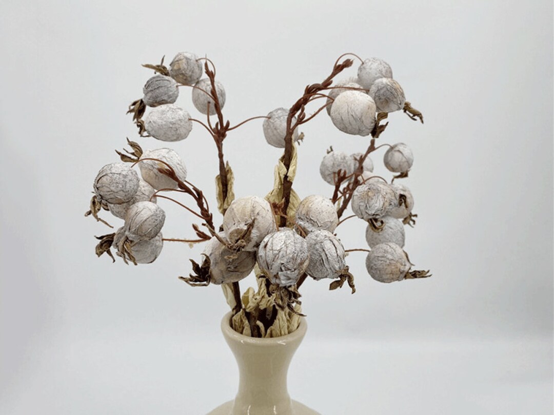 Artificial Rosehip Stem With Leaves, Fake Dried Fruit Crafts, Vintage ...