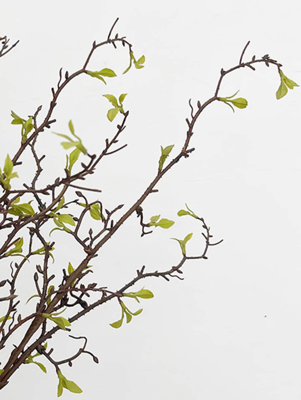 Artificial Twig Long Stem With Sprout Fake Dead Branch and - Etsy