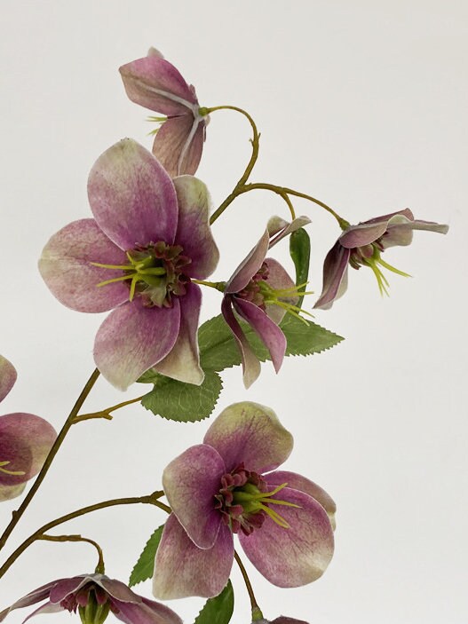 Artificial Helleborus Flower Stem, Fake Silk Flower, Realistic ...