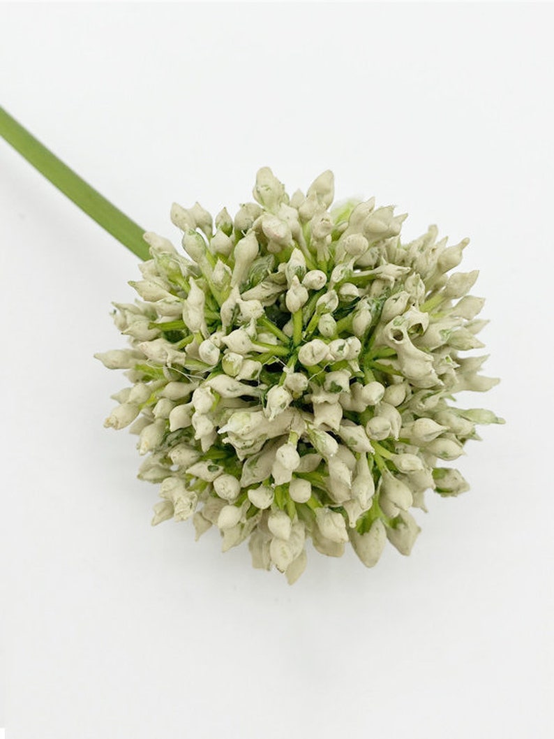 Fake Onion Flower Stems Artificial Flower Crafts Living Room - Etsy