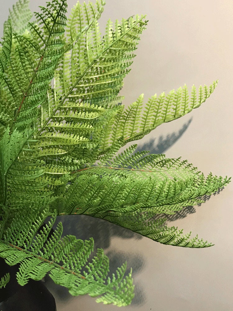 Artificial Rabbit's Foot Fern Stem Tropical Davallia - Etsy
