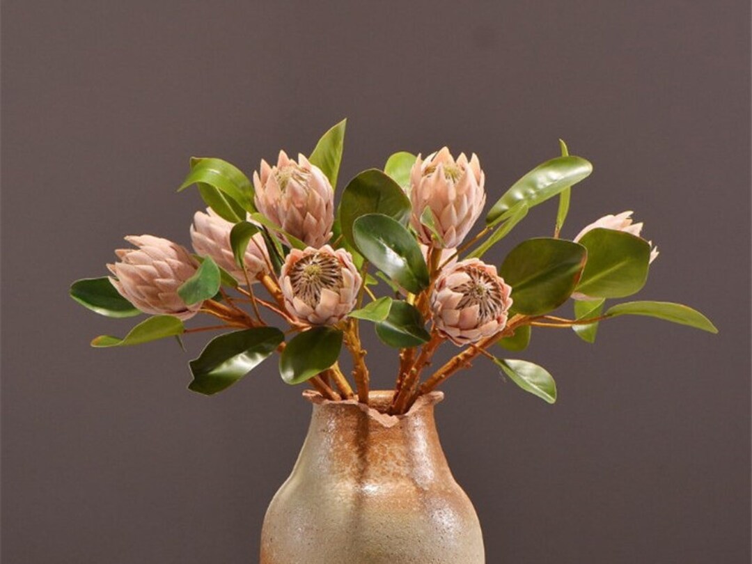 Quality Protea Stem With Leaves, Tropical Flower Craft, Artificial ...