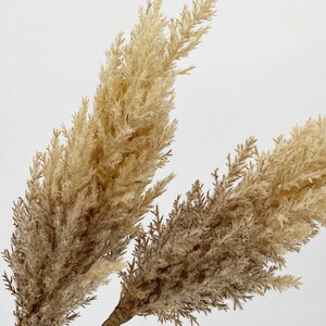 Artificial Reed Flower With Long Stem, Realistic Bloom Craft, Rustic ...