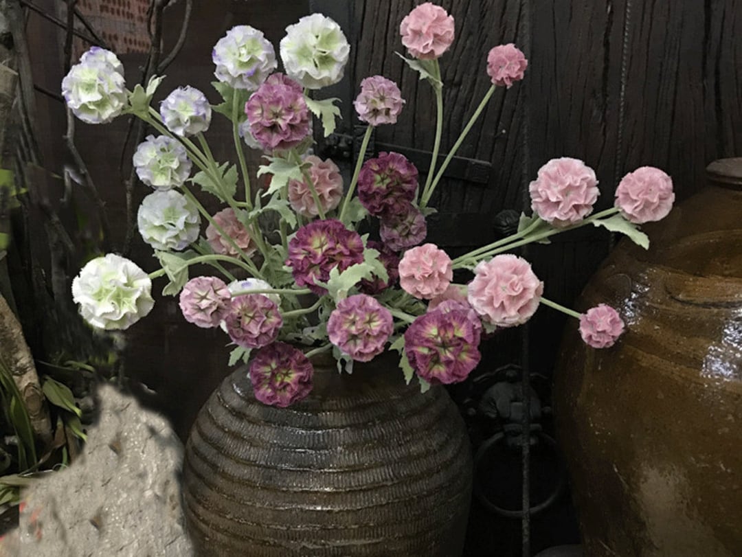 Scabiosa Drumstick Flower With Leaf, Artificial Starflower Stem ...