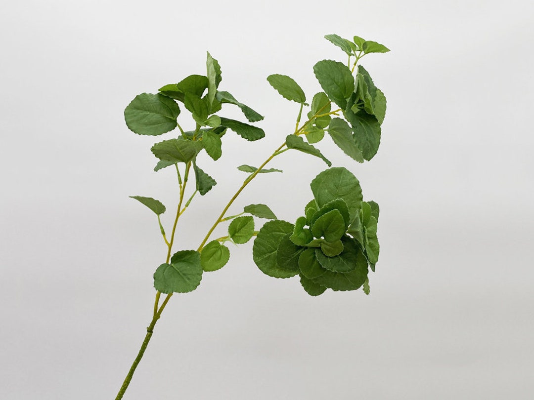 Artificial Mint Leaf Stem, Faux Mint Leaves, Realistic Herb Stems ...