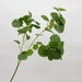 Artificial Twig Long Stem With Sprout Fake Dead Branch and Shoot Home ...