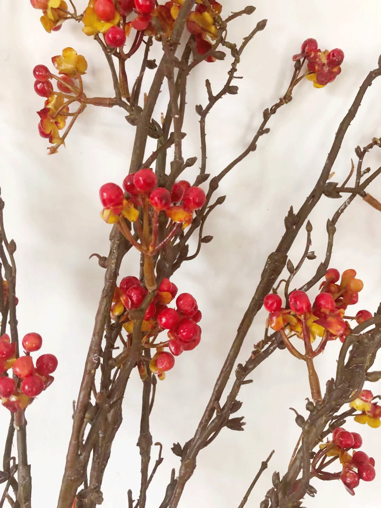 Artificial Bittersweet Fruit With Long Branch, Quality Small Berry Stem ...