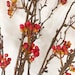 Artificial Bittersweet Fruit With Long Branch, Quality Small Berry Stem ...