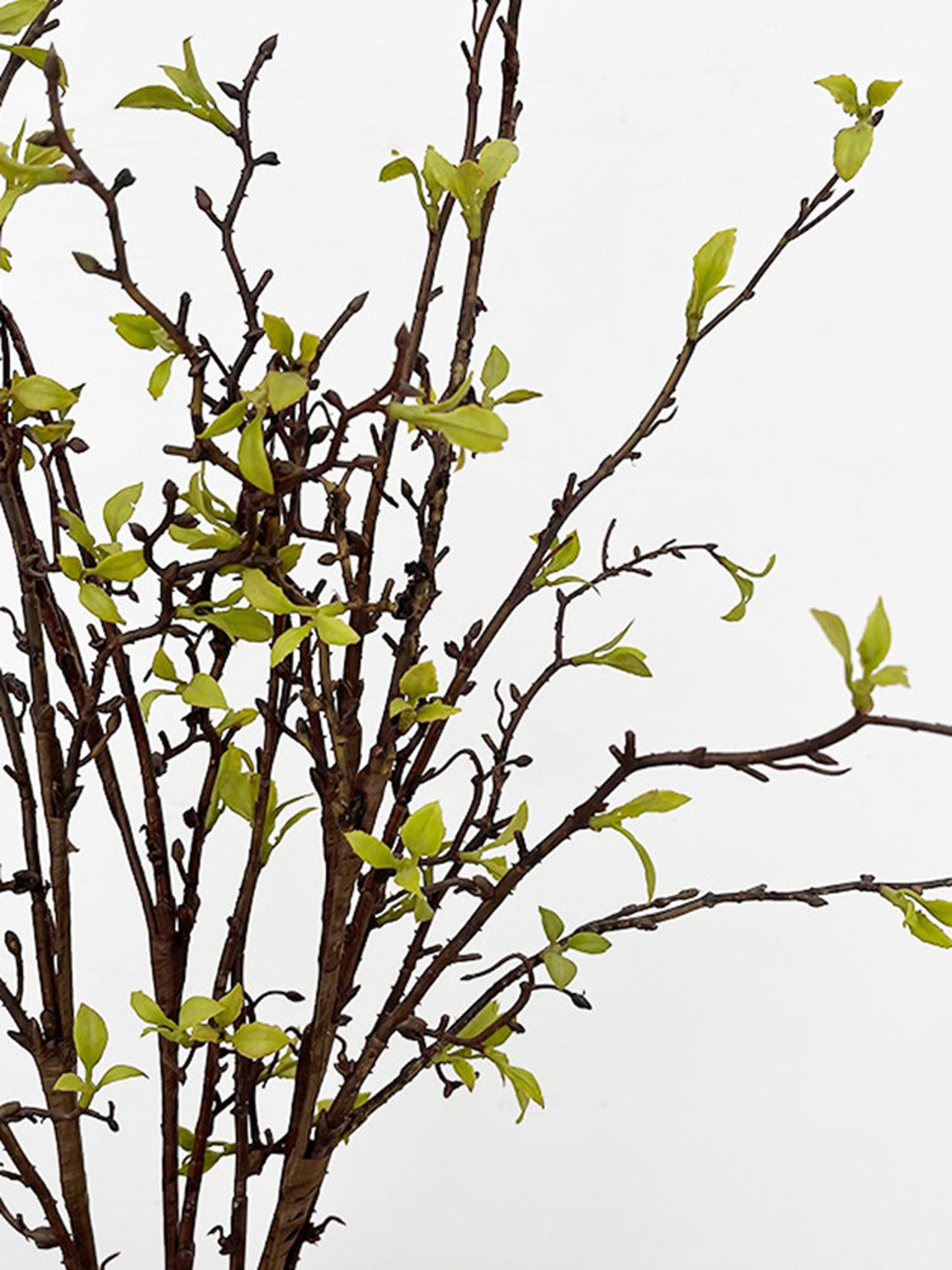 Artificial Twig Long Stem With Sprout Fake Dead Branch and - Etsy