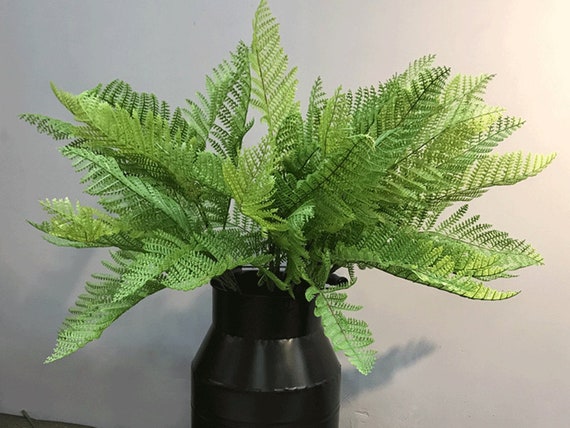 Artificial Rabbit's Foot Fern Stem Tropical Davallia - Etsy