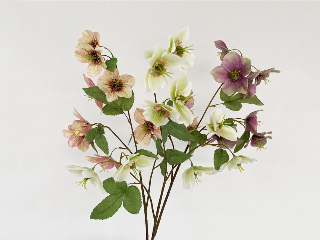 Artificial Helleborus Flower Stem, Fake Silk Flower, Realistic ...