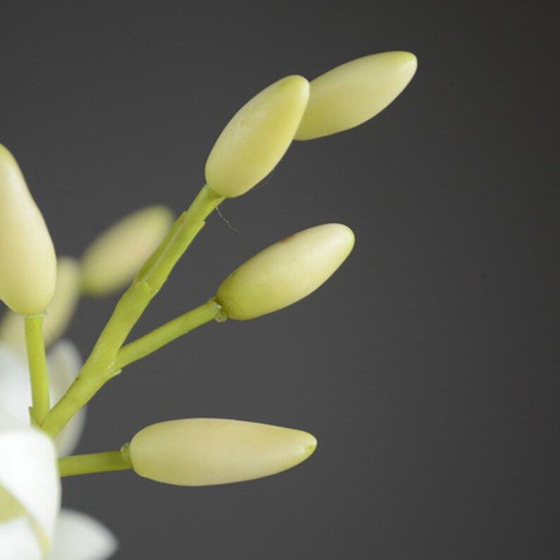 Quality Yucca Stem With Bud Artificial Orchid Flower Branch - Etsy