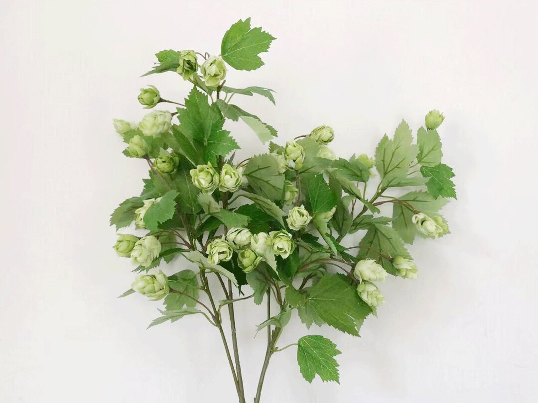 Cascade Hop Flower Stem, Artificial Beer Hop With Foliage, Quality ...