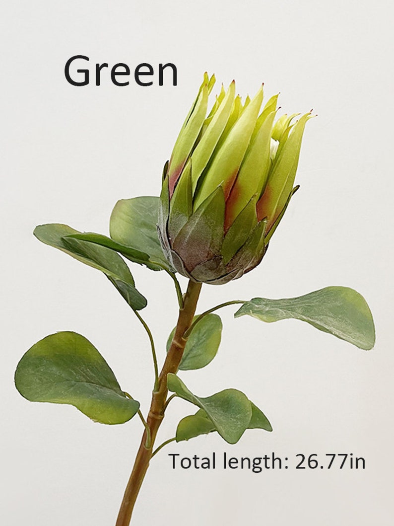 Artificial Protea Stem With Leaf, Quality Big Flower Head, Home ...