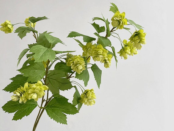 Cascade Hop Flower Stem Artificial Beer Hop With Foliage - Etsy