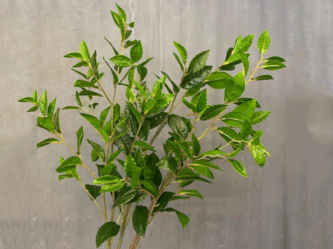 Real Touch Camellia Foliage Long Branch, Artificial Greenery With Leaf ...