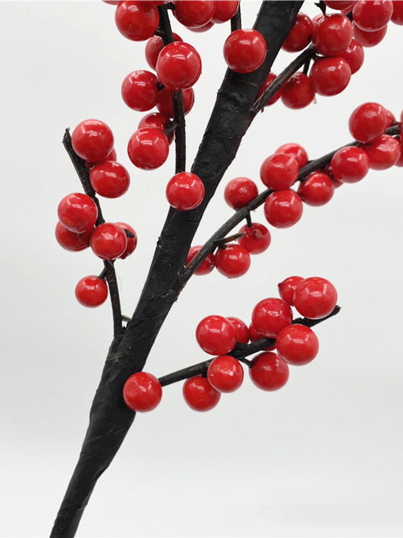 Holly Long Branch, Red Berry Stem, Fall Rustic Wild Fruit Craft ...