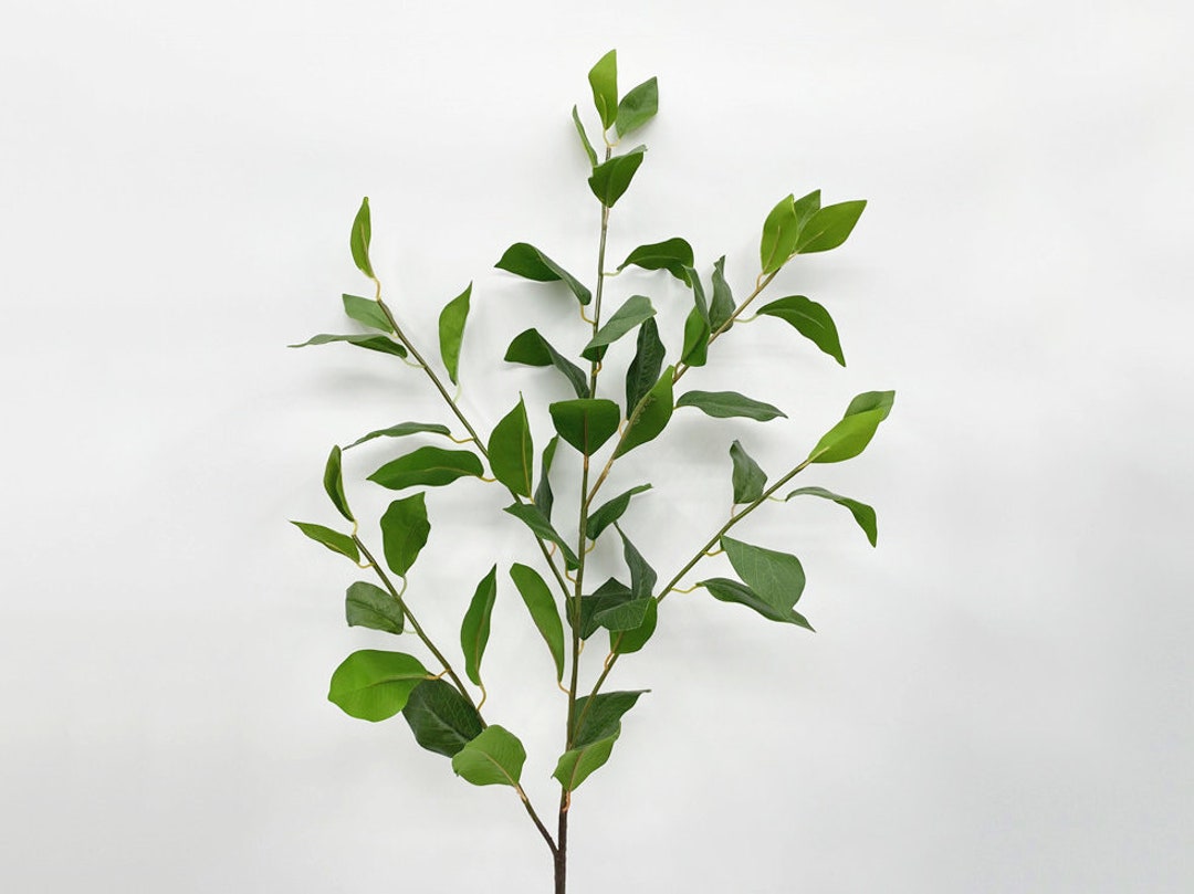 Ligustrum Lucidum Leaves, Artificial Privet Leaves, Faux Ligustrum ...
