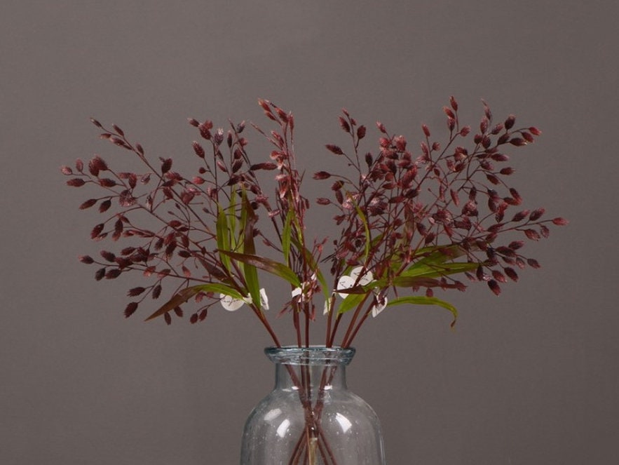 Fake River Oats Stem, Northern Sea Oats, Chasmanthium Latifolium ...