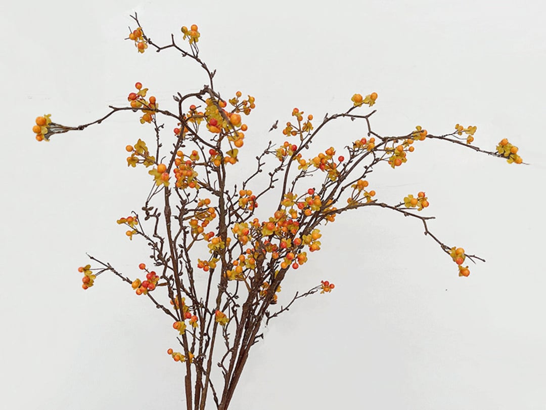 Artificial Bittersweet Fruit With Long Branch, Quality Small Berry Stem ...