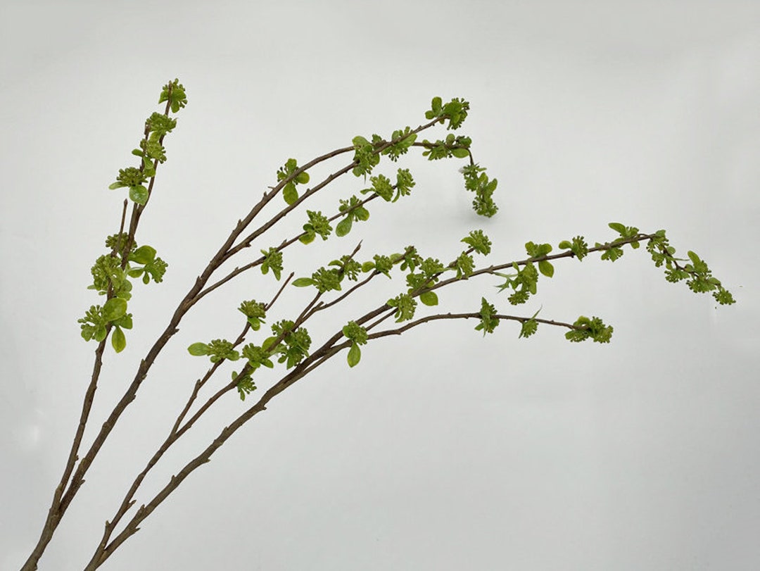 Long Twig With Buds and Tender Leaves, Artificial Flower, Home Floral ...