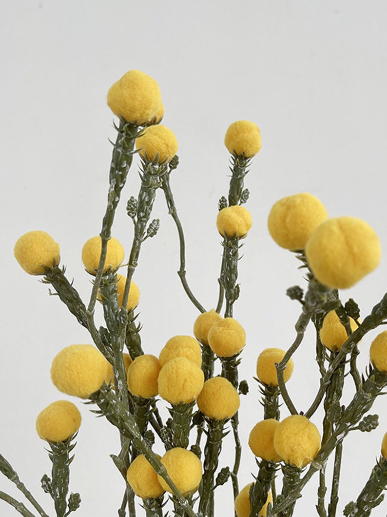 Quality Craspedia Global Stem, Artificial Drumstick Flower, Fake Billy ...
