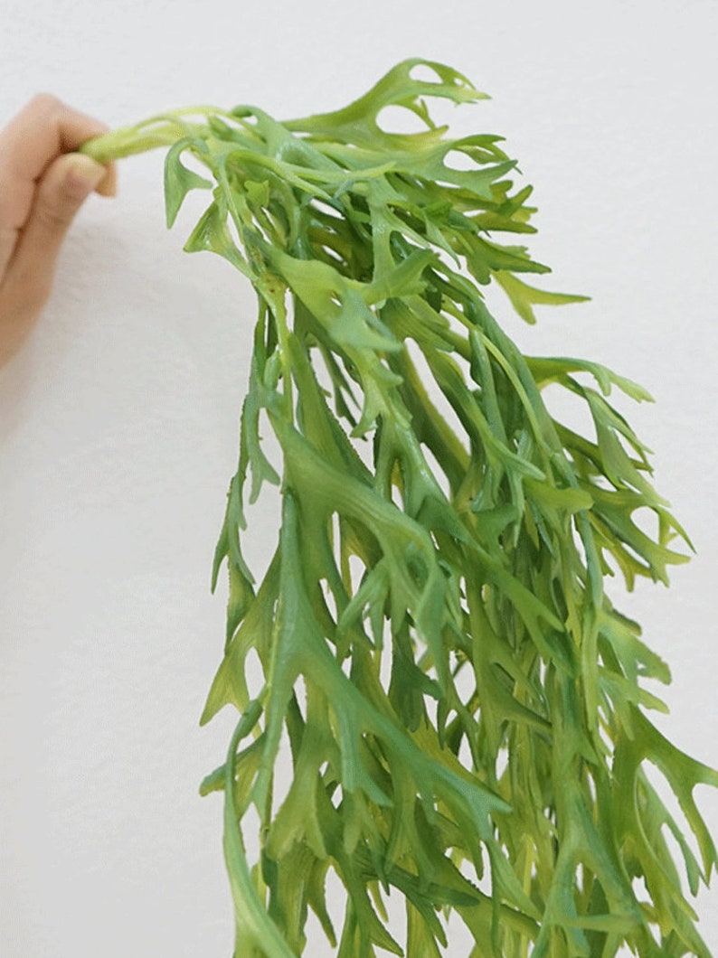 Staghorn Fern Plant Long Wall Hanging, Artificial Platycerium Superbum ...
